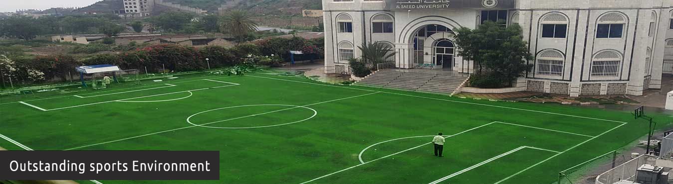 Al-Saeed University